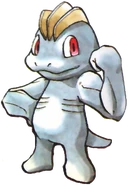 Machop | Pokémon Wiki | Fandom