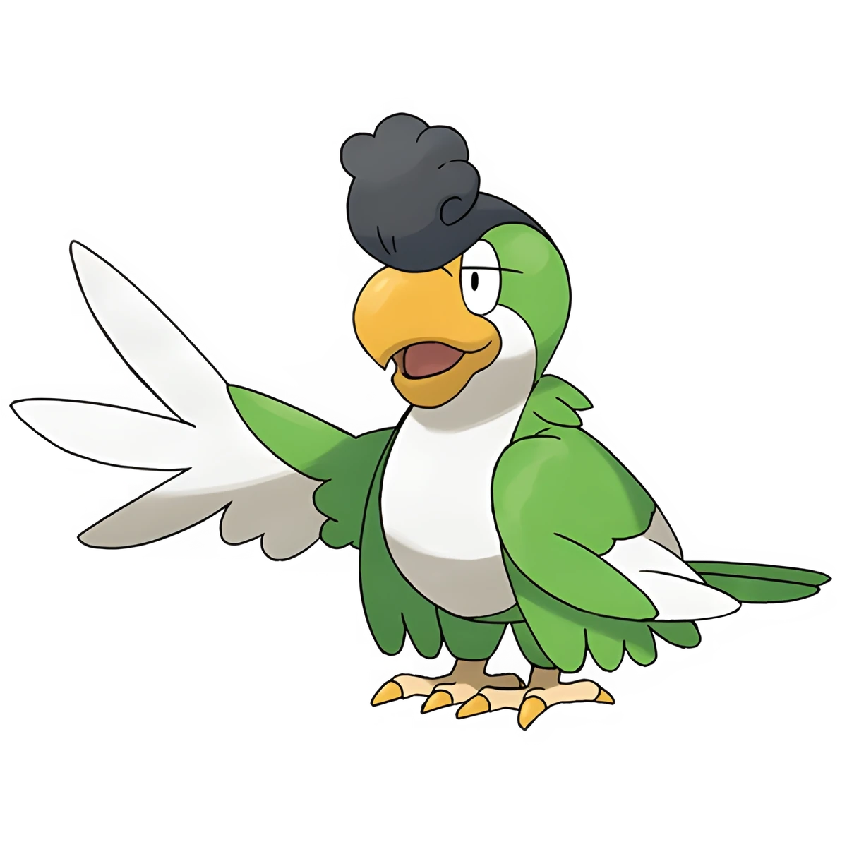 Squawkabilly | Pokémon Wiki | Fandom