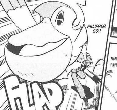 Amber's Pelipper | Pokémon Wiki | Fandom