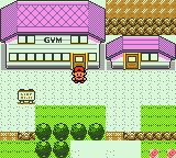 Fuchsia City | Pokémon Wiki | Fandom