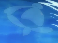 Acid Armor | Pokémon Wiki | Fandom