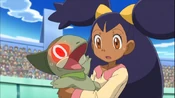 Iris' Haxorus (anime) | Pokémon Wiki | Fandom