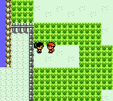 Route 34 | Pokémon Wiki | Fandom