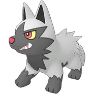 Poochyena | Pokémon Wiki | Fandom