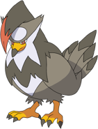 Staraptor | Pokémon Wiki | Fandom