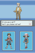 Pokémon HeartGold Version and Pokémon SoulSilver Version | Pokémon Wiki ...
