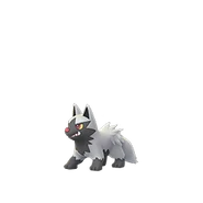Poochyena | Pokémon Wiki | Fandom