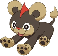 Litleo | Pokémon Wiki | Fandom
