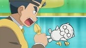 Crowning the Scalchop King! | Pokémon Wiki | Fandom