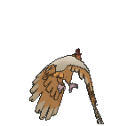Fearow | Pokémon Wiki | Fandom