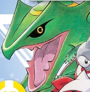 Rayquaza (Adventures) | Pokémon Wiki | Fandom