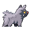 Poochyena | Pokémon Wiki | Fandom