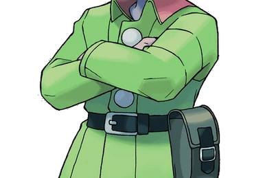 Pokémon Frontier Brains Noland
