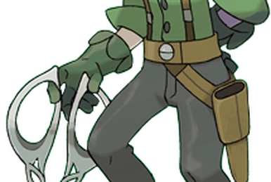 Pokémon X Et Y Ramos