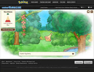 Pokémon Dream World | Pokémon Wiki | Fandom