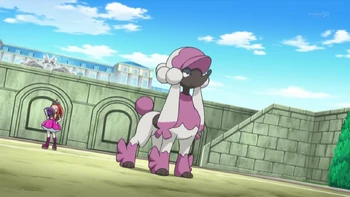 Princess Allie's Furfrou | Pokémon Wiki | Fandom