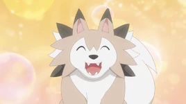 Murdock's Lycanroc | Pokémon Wiki | Fandom