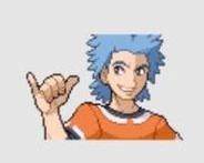 Brawly | Pokémon Wiki | Fandom