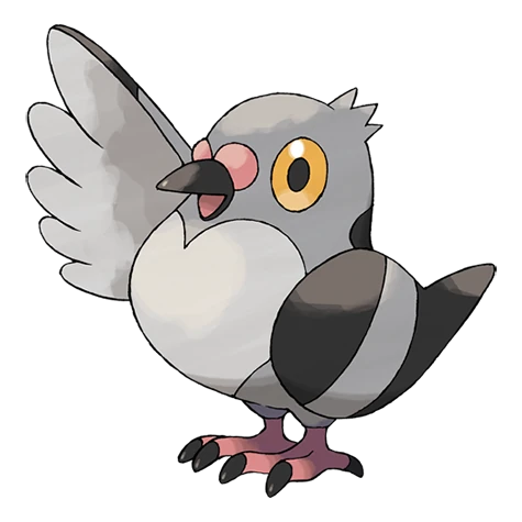 Pidove | Pokémon Wiki | Fandom