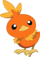 Torchic | Pokémon Wiki | Fandom