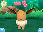 Affection | Pokémon Wiki | Fandom