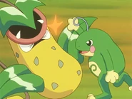 Double Slap | Pokémon Wiki | Fandom