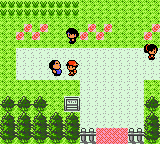 Route 36 | Pokémon Wiki | Fandom