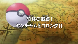 The Bamboozling Forest! | Pokémon Wiki | Fandom