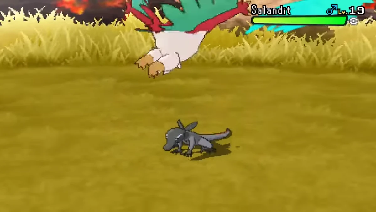 Flying Press | Pokémon Wiki | Fandom