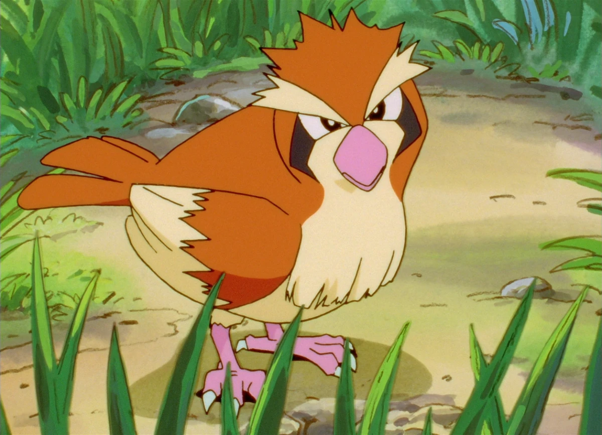 Pidgey (TB001) | Pokémon Wiki | Fandom
