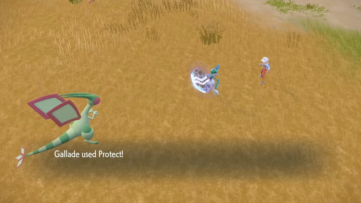 Protect | Pokémon Wiki | Fandom