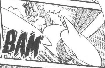 Winona's Skarmory (Adventures) | Pokémon Wiki | Fandom