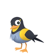 Wattrel | Pokémon Wiki | Fandom