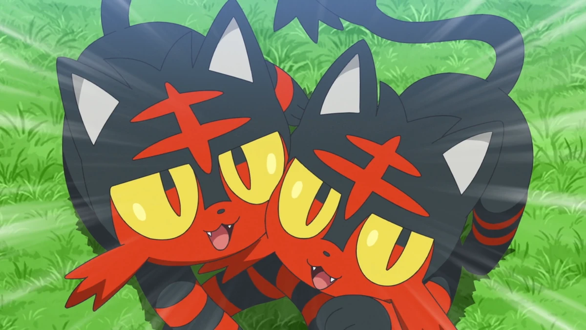 Litten Smitten's Litten | Pokémon Wiki | Fandom