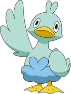 Ducklett | Pokémon Wiki | Fandom