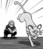 Nanu (Adventures) | Pokémon Wiki | Fandom