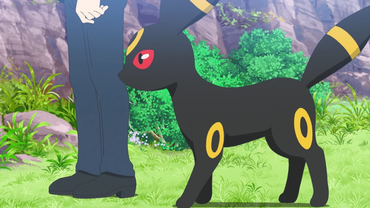 Spinel's Umbreon | Pokémon Wiki | Fandom