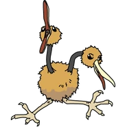 Doduo | Pokémon Wiki | Fandom