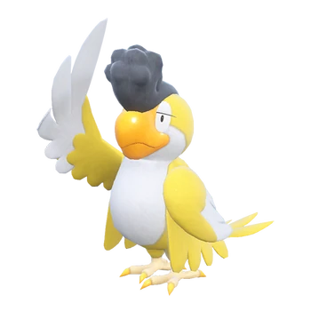Squawkabilly | Pokémon Wiki | Fandom