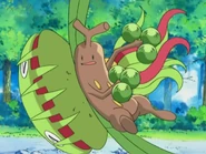 Rock Head | Pokémon Wiki | Fandom