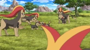Pyroar (XY101) | Pokémon Wiki | Fandom
