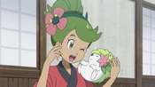 Shaymin (SM anime) | Pokémon Wiki | Fandom