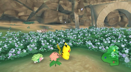 Flower Zone | Pokémon Wiki | Fandom