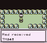 Pokémon Red Version and Pokémon Blue Version/Walkthrough/Part 2 ...