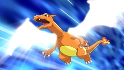 Charizard Fliegender Anime Charizard Ex Animation In Pokémon TCG
