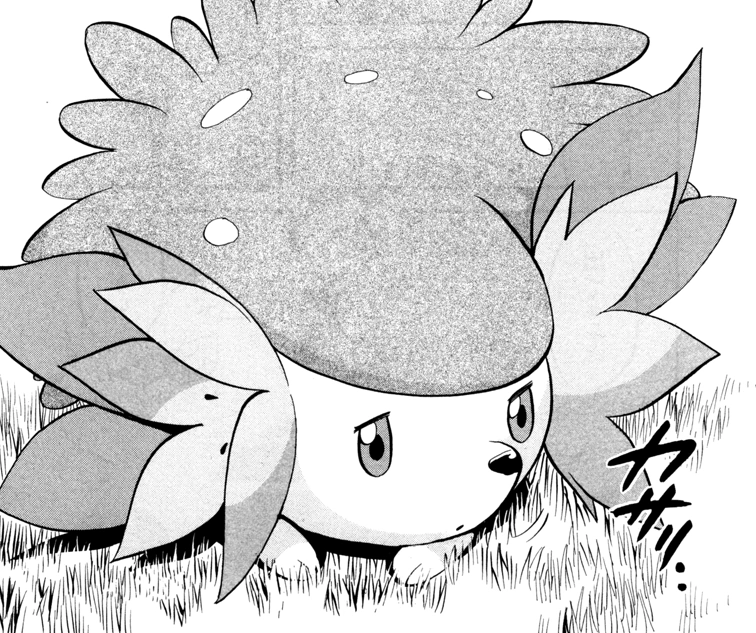 PS434 | Nederlandse Pokémon Wiki | Fandom