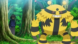 Bill Rogers Pokemon