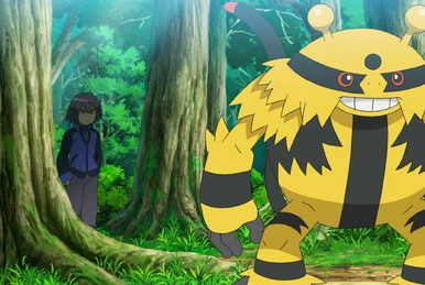 Paul Pokemon Fan Art