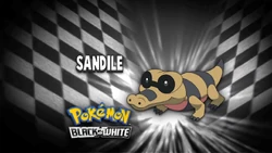 BW003: Sandile Blaast Stoom Af! | Nederlandse Pokémon Wiki | Fandom