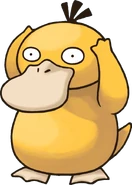 Psyduck | Pokémon Wiki | Fandom
